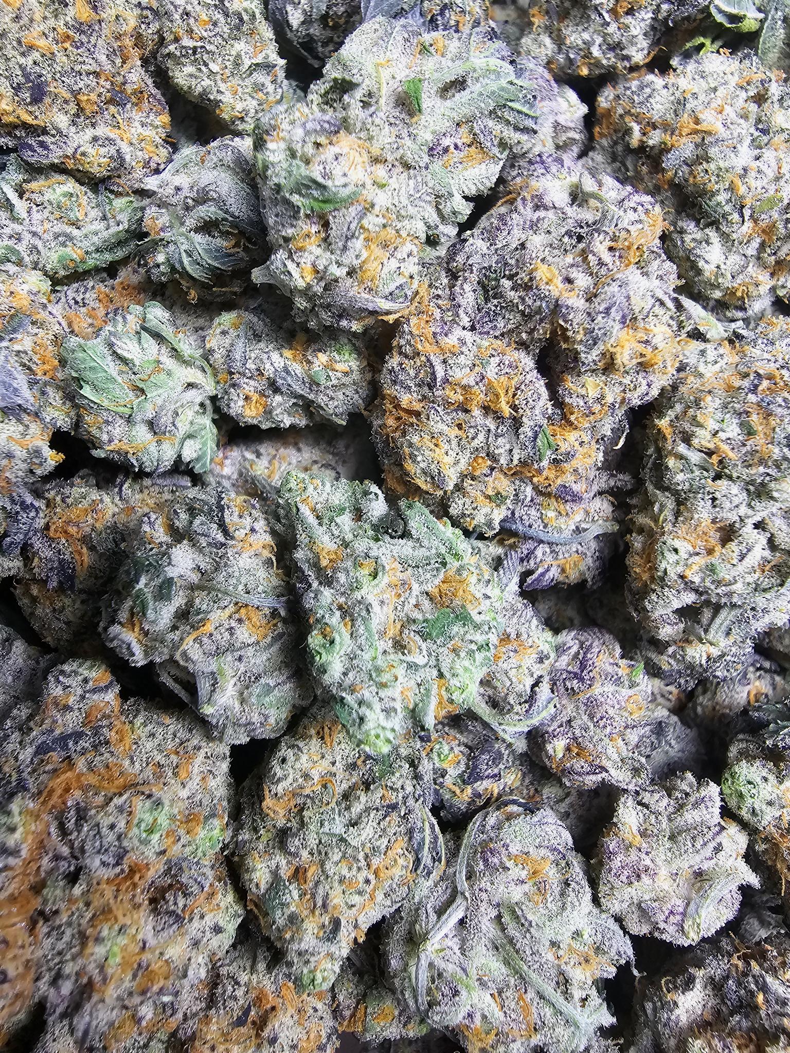 Cocolato Chocolate Coconut Hybrid – Premium Exotic Strain Canada - QuadCo