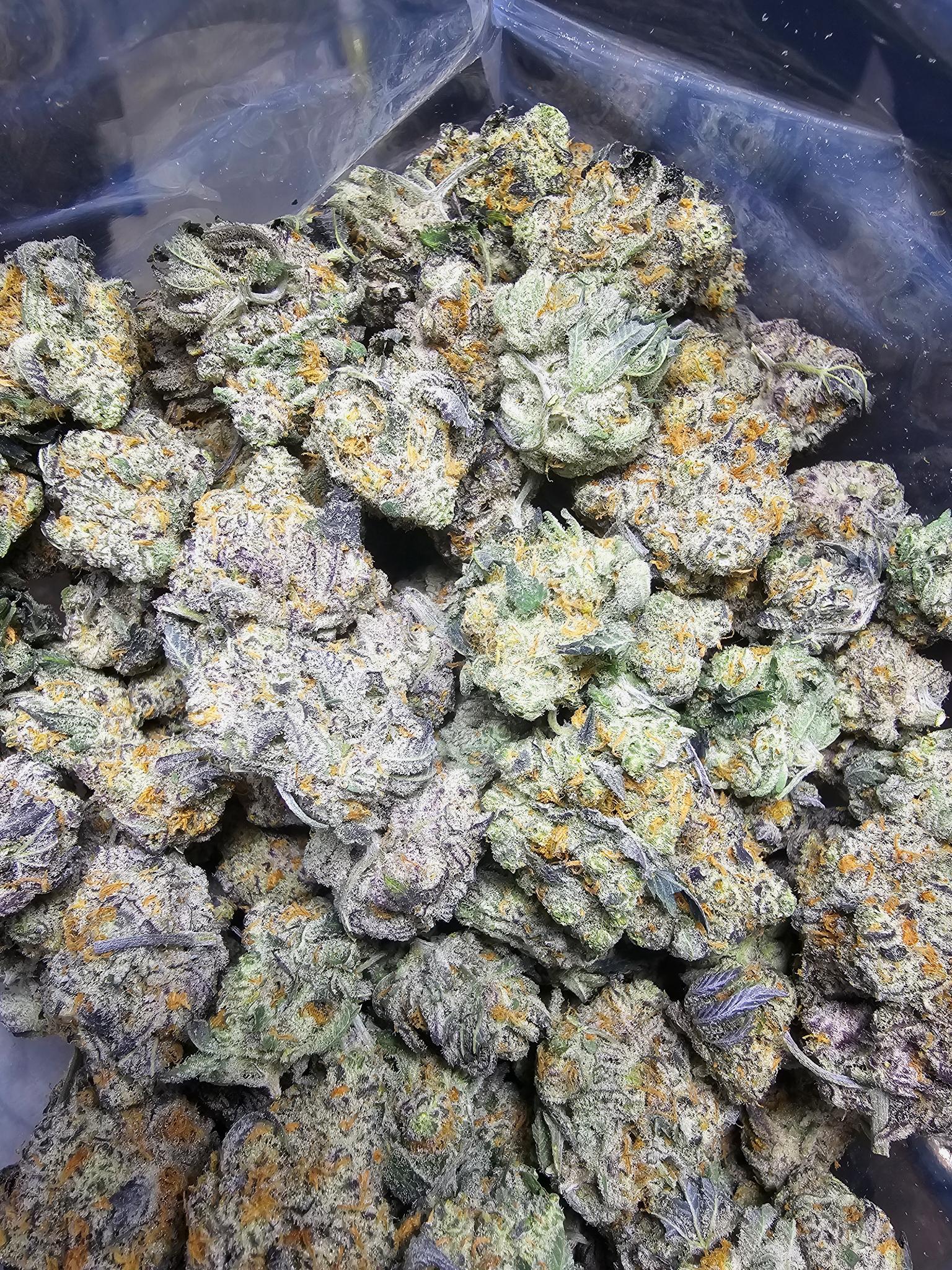 Cocolato Chocolate Coconut Hybrid – Premium Exotic Strain Canada - QuadCo