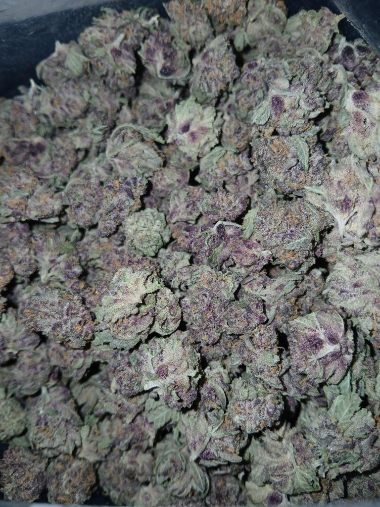 Sour Skittles Smalls - QuadCo